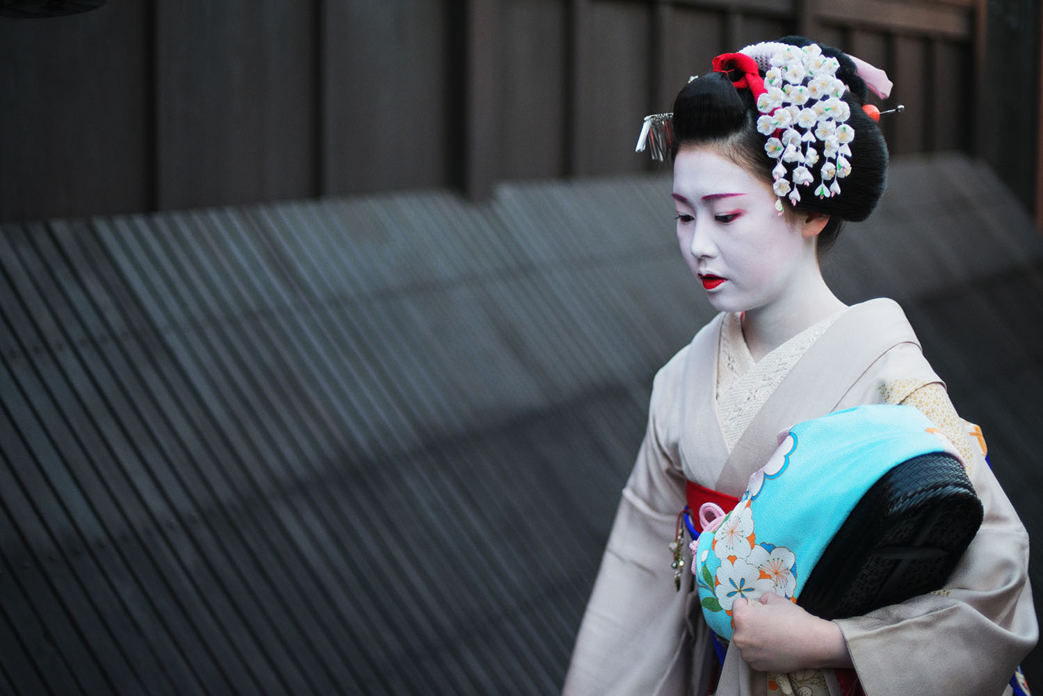 Geisha - ItaliaJapan.net