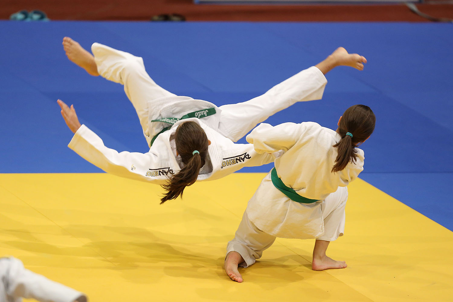 Judo - ItaliaJapan.net